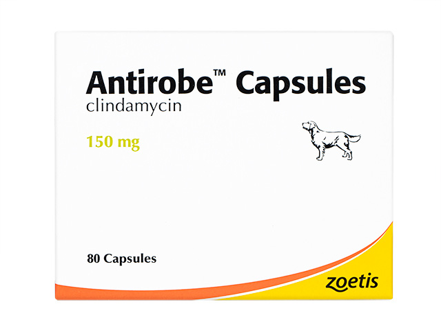 アンチローブ150mg[ビルデンタマイシン同成分] 通販｜抗生物質｜犬｜ペットのお薬うさパラ