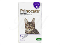 プリノケート（4～8㎏／大型猫用）通販｜フィラリア予防薬｜猫｜ペットのお薬うさパラ